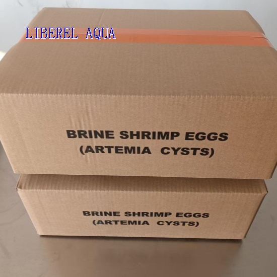 Artemia Cysts Brine Shrimp Eggs